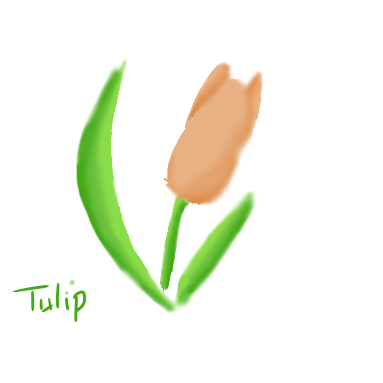 🌷 Tulip 🌷 - ibisPaint