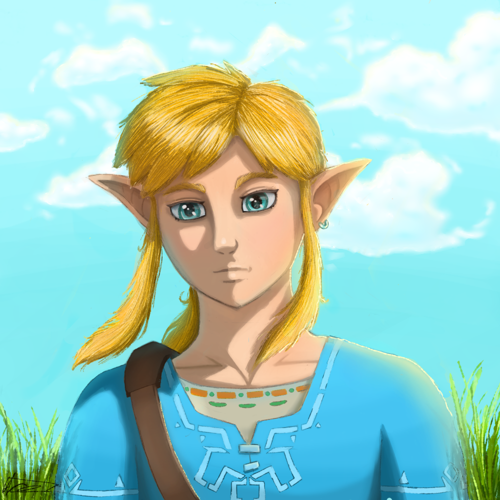 Link from botw - ibisPaint