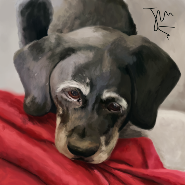 Dog ''portrait'' - read desc - ibisPaint