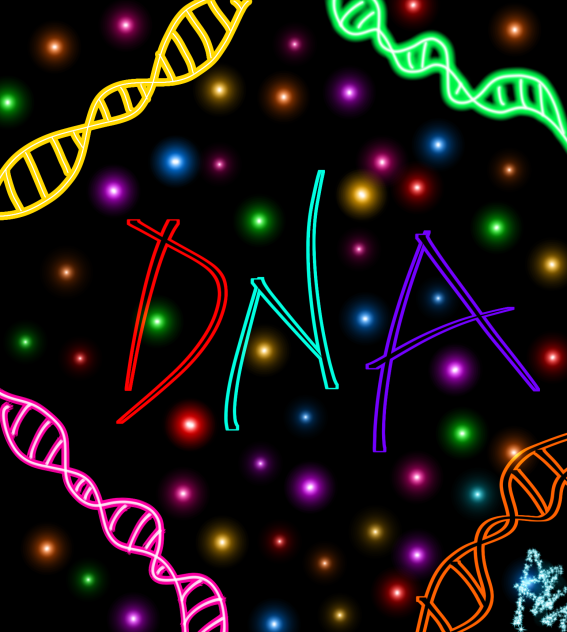 DNA - ibisPaint