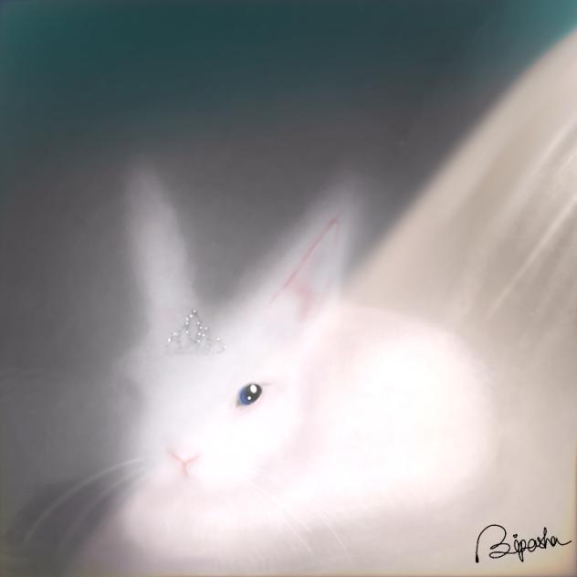 rabbit 🐰💅 - ibisPaint