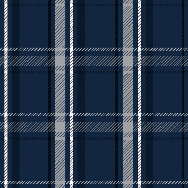 Seamless Cloth Pattern 7 - ibisPaint