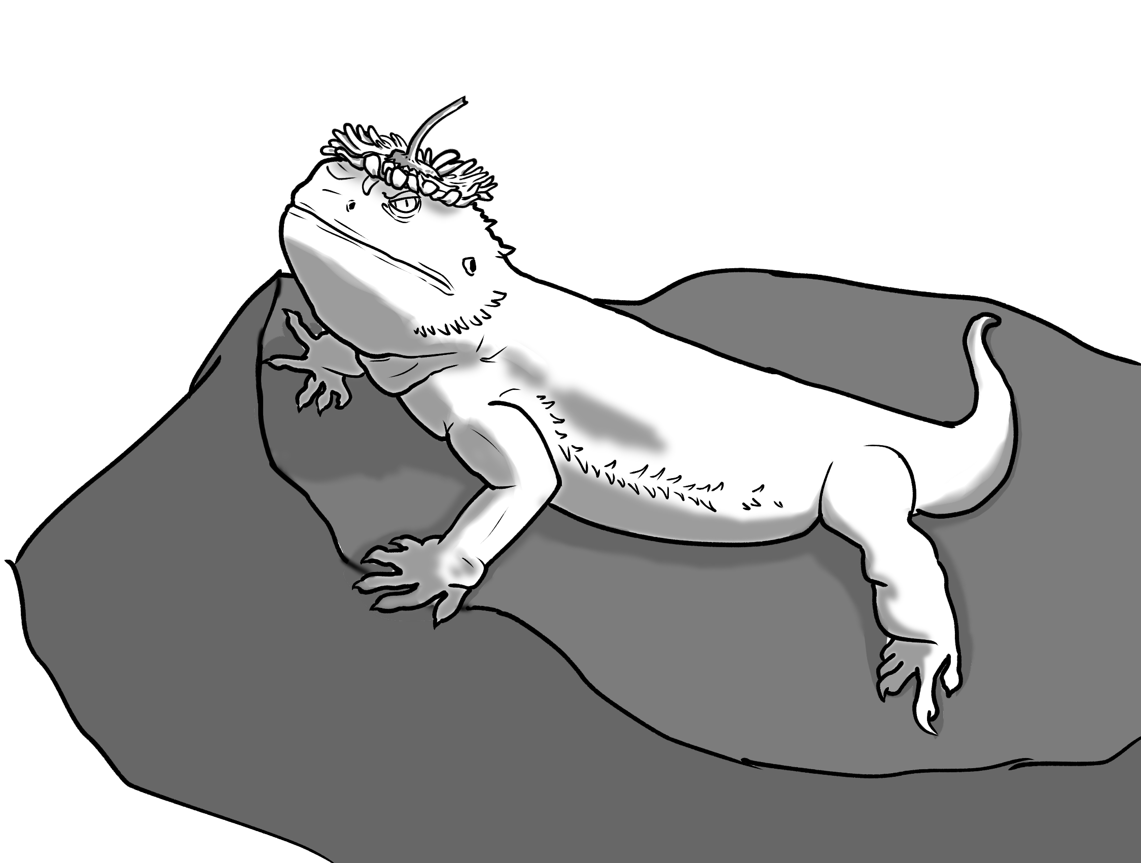 silly lil lizard - ibisPaint