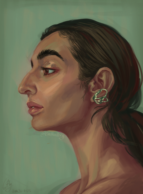 portrait study - ibisPaint