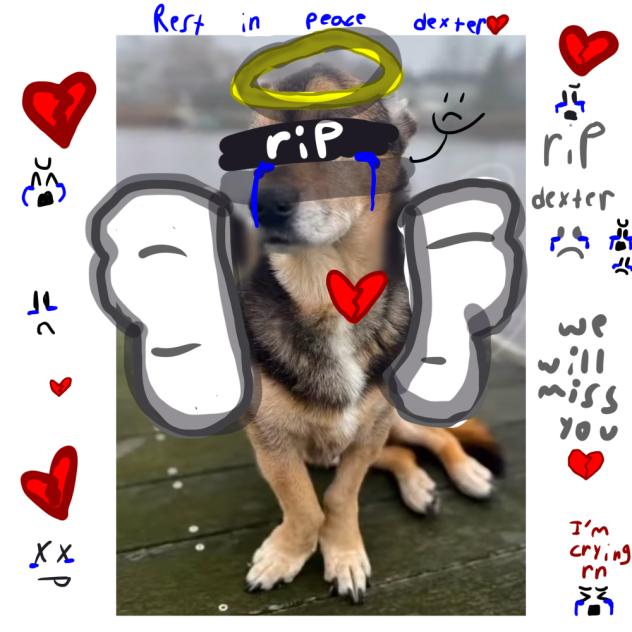 I AM CRYING RN 😭😭😭😭 - ibisPaint