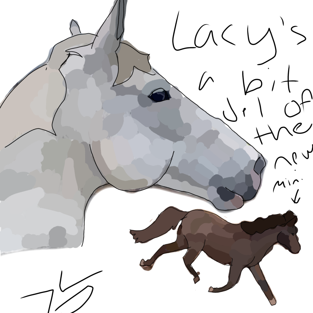 Oh lacy - ibisPaint