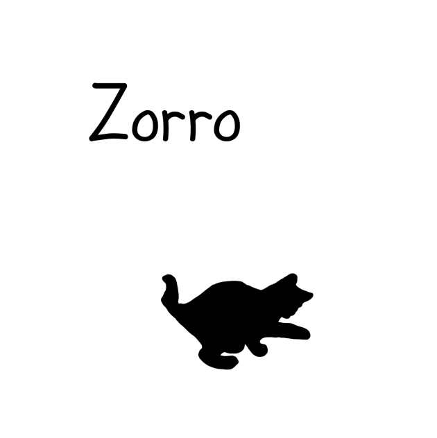 Zorro - ibisPaint