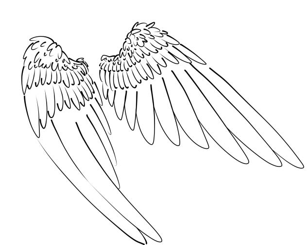 wings #5 - ibisPaint