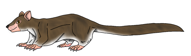 Brown Ratglider render - ibisPaint