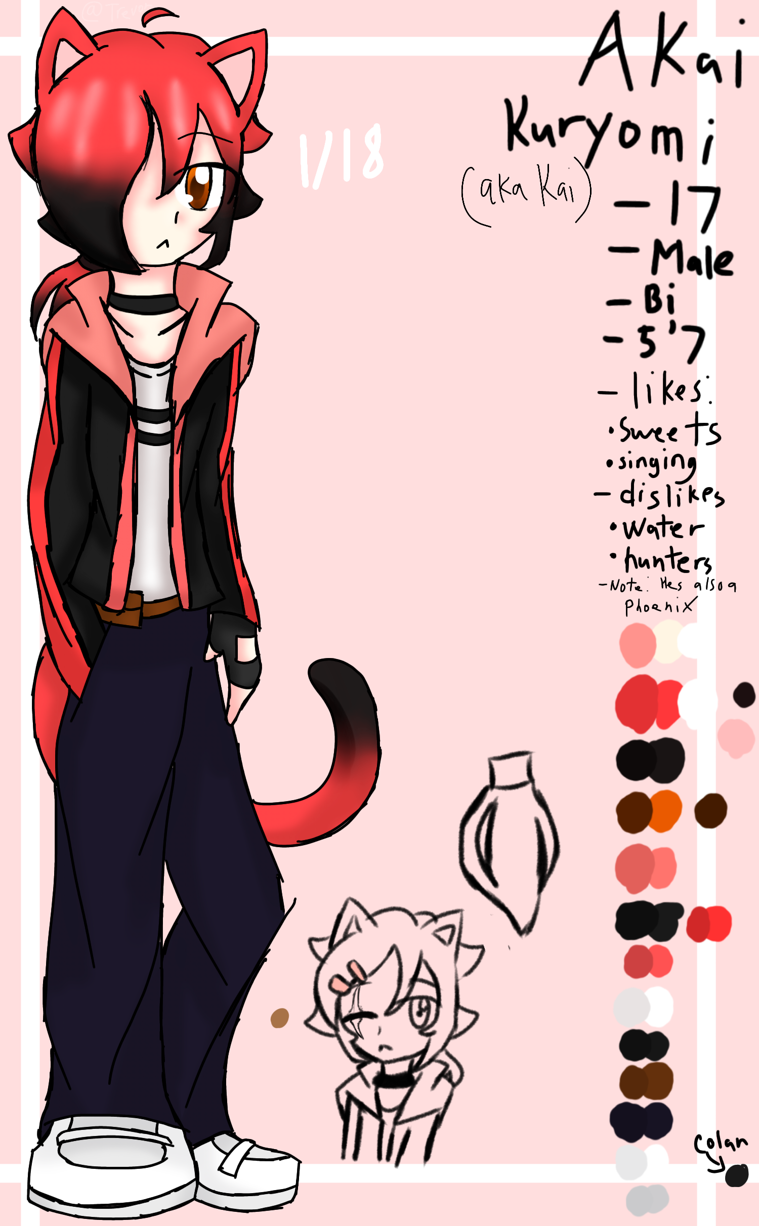 Akai reference sheet - ibisPaint