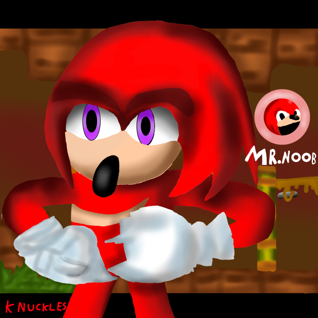 KNUCKLES - ibisPaint