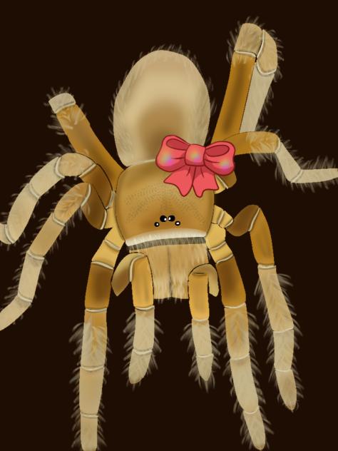 tarantula with a cute bow - ibisPaint