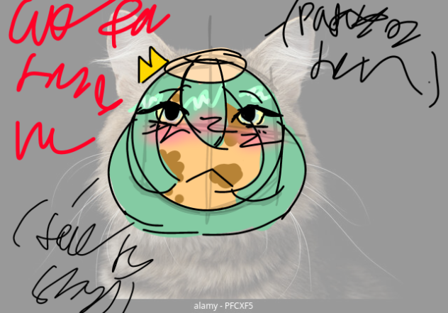 Cat face theory is real - ibisPaint