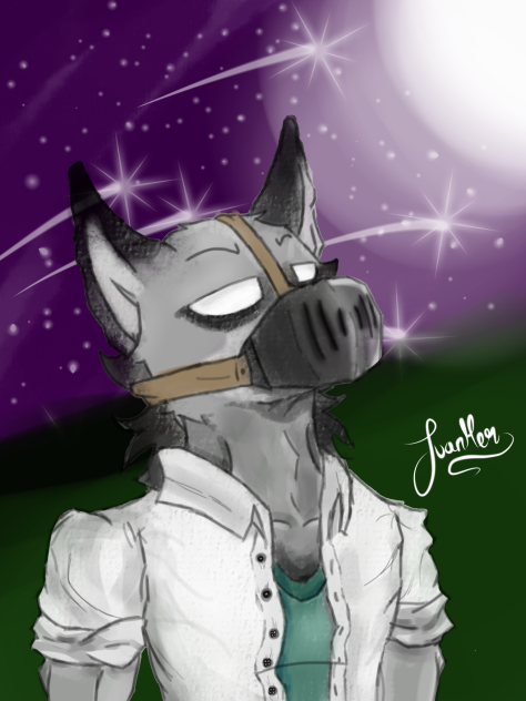 Furry Night - ibisPaint