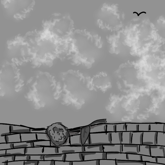 the 🌹-animated sport film - ibisPaint