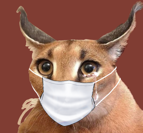 A COVID floppa - ibisPaint