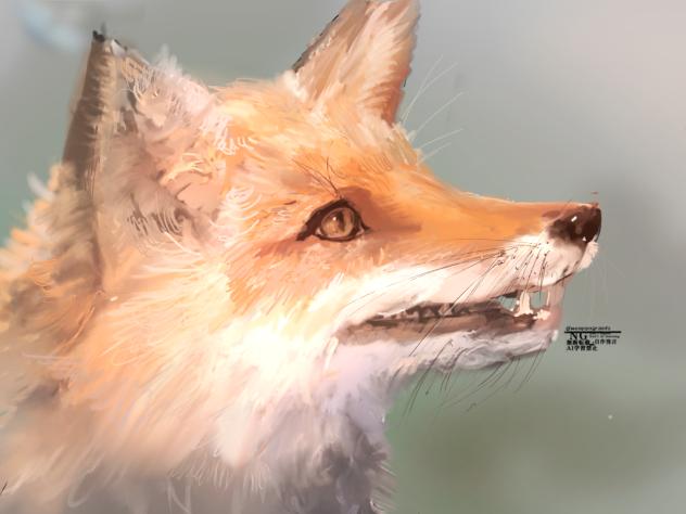 Fox - ibisPaint