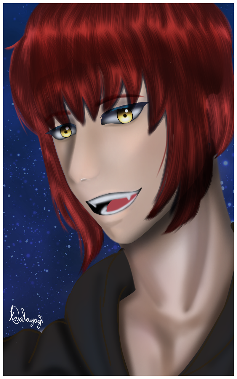 starry night - ibisPaint