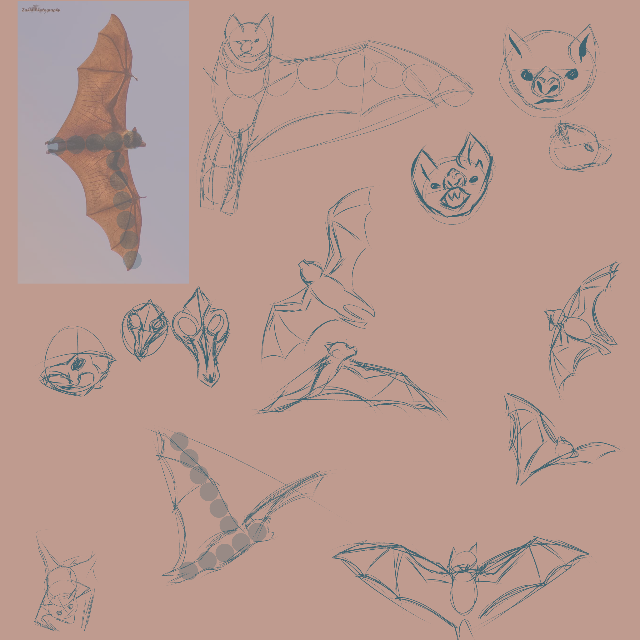 morcegos_bats - ibisPaint