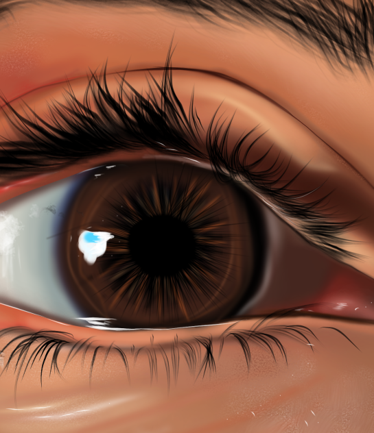 Eyes - ibisPaint