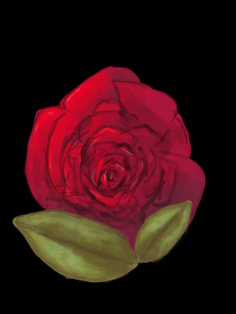 rosa realista - ibisPaint