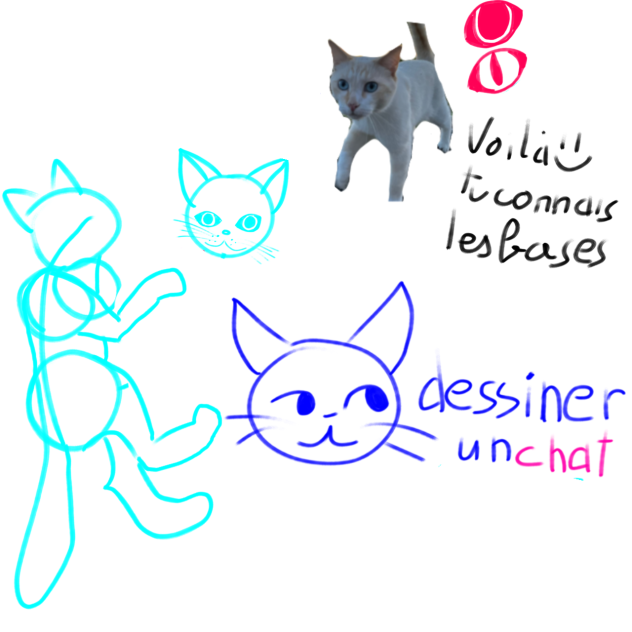 Dessiner un chat - ibisPaint