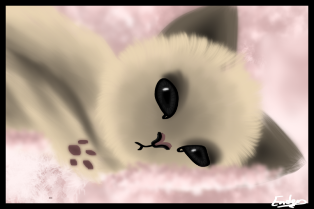 Realistic cat - ibisPaint