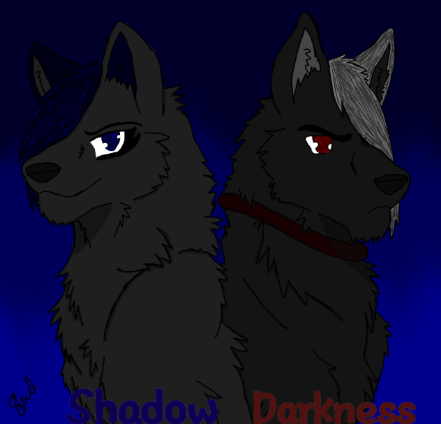 Shadow and Darkness Wolfe - ibisPaint