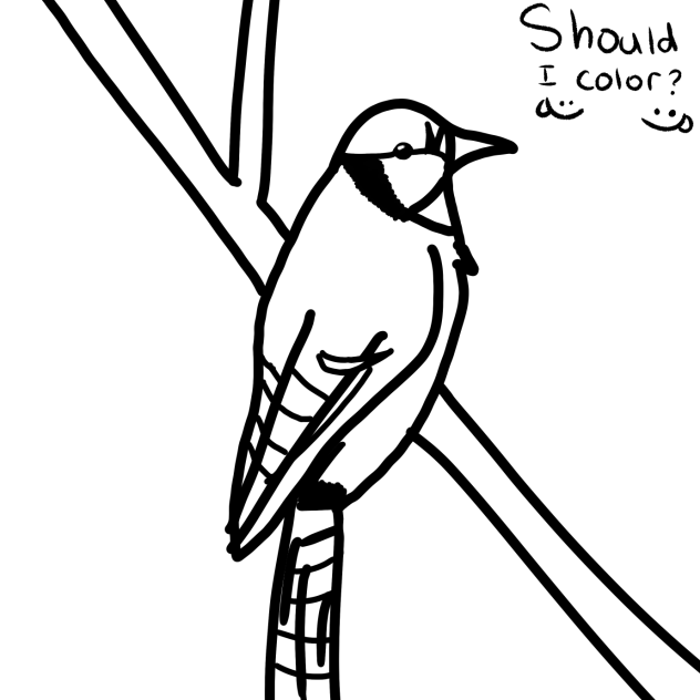 Studying bird anatomy - ibisPaint