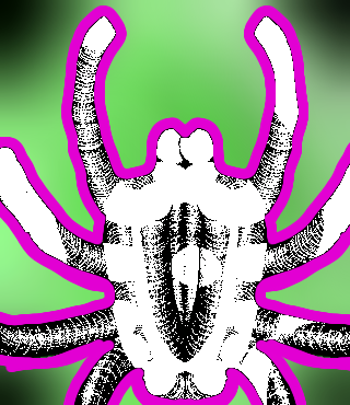 Spider - ibisPaint