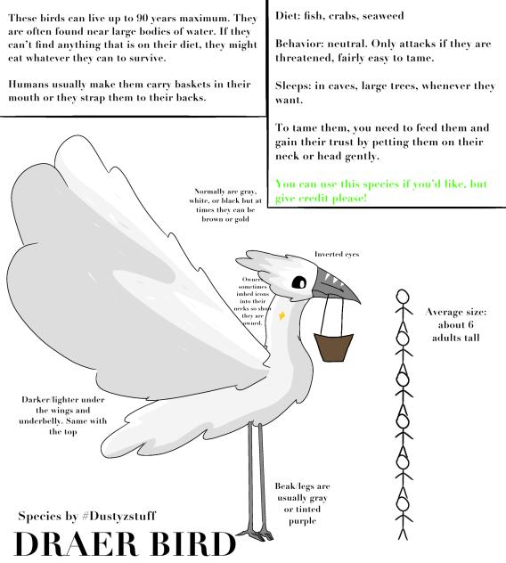Draer bird - ibisPaint