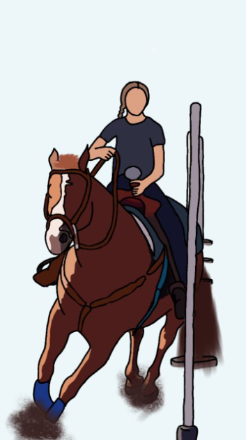 Western Rules - ibisPaint