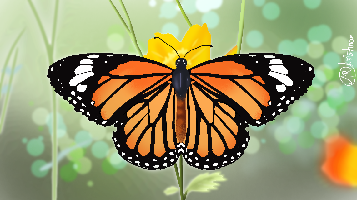 Butterfly - ibisPaint