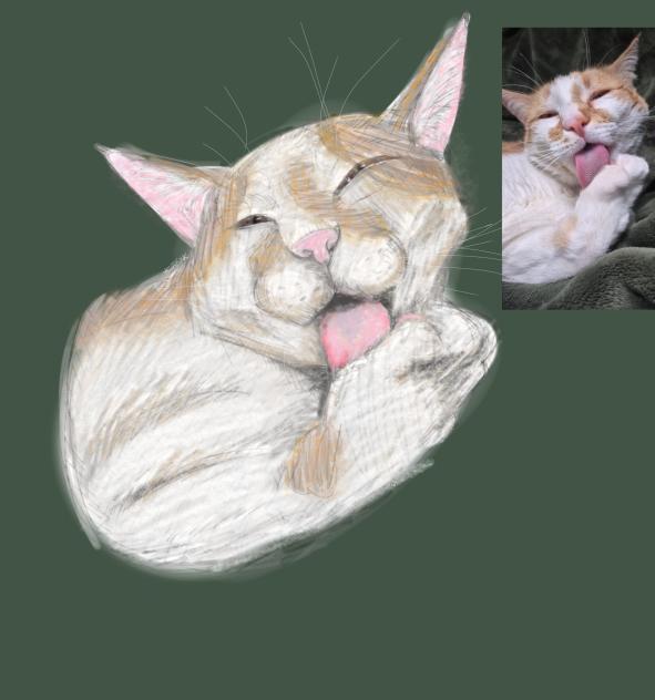 Hopper my boy - ibisPaint