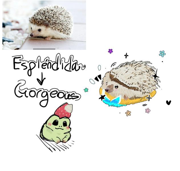 Hedgehog 🥹 - ibisPaint