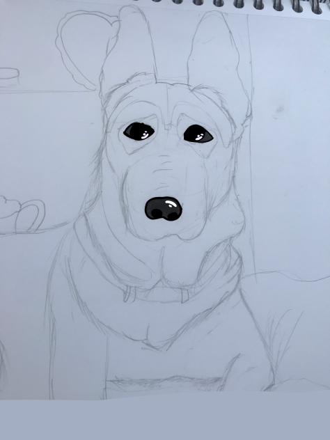 Drawing of my dog - ibisPaint