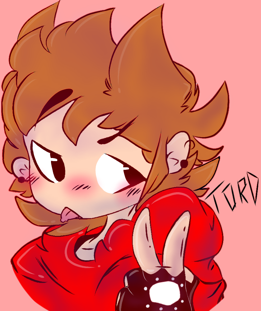 Tord - ibisPaint