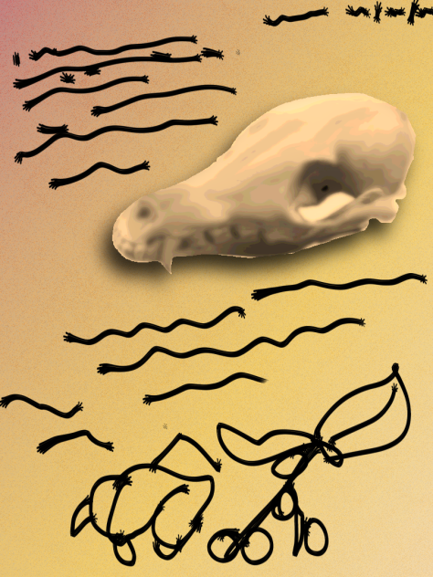 Skull research - ibisPaint