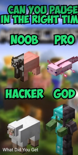 noob, pro, hacker, God - ibisPaint