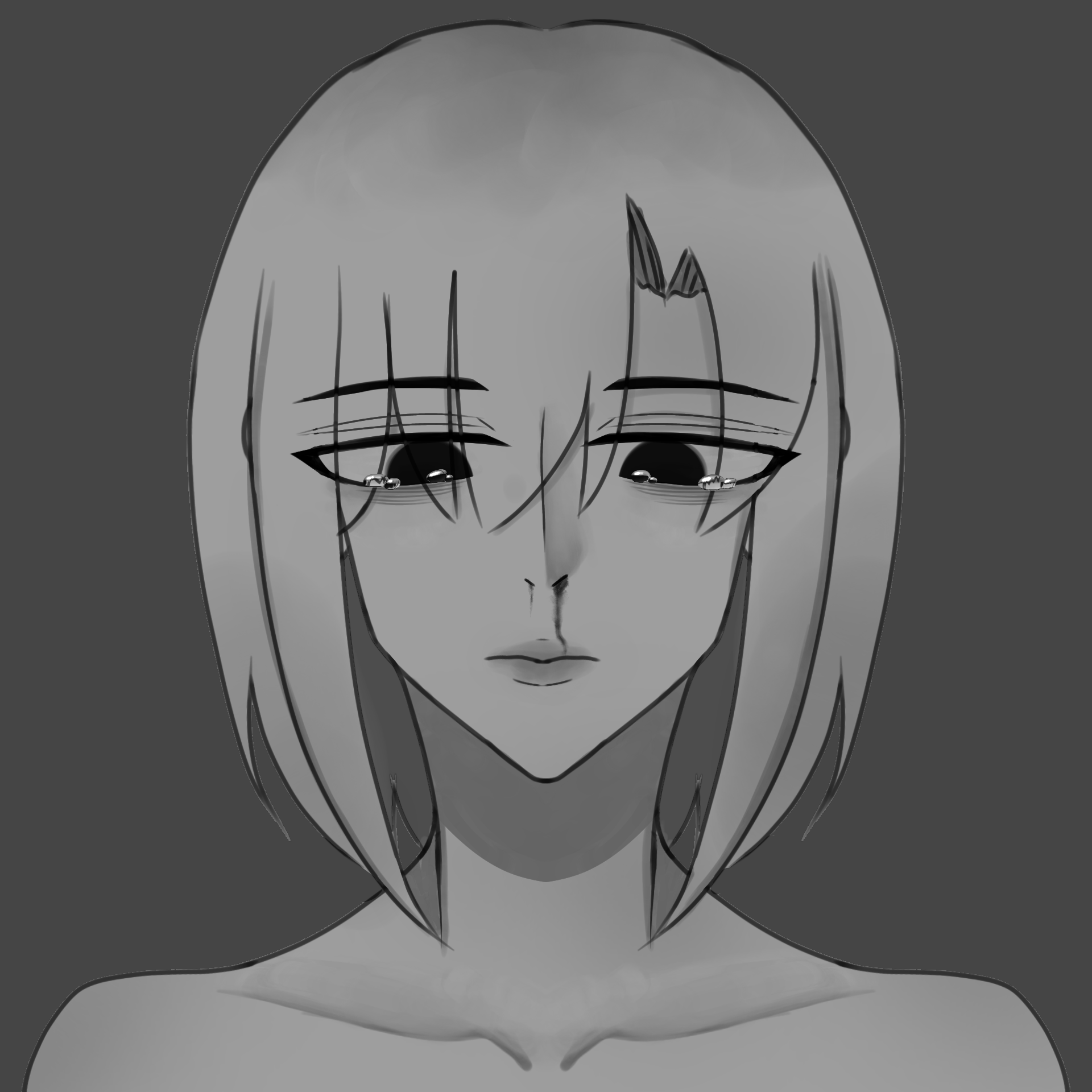 SiPa monochrome - ibisPaint