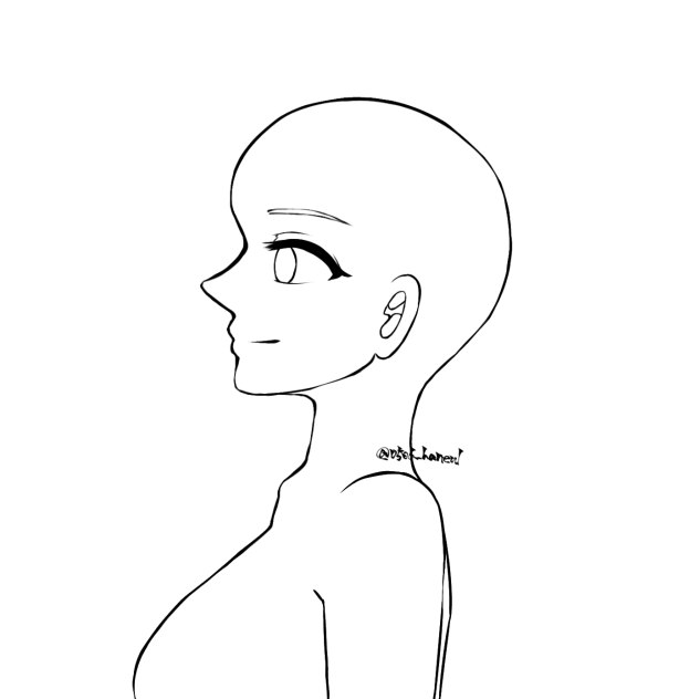 base for drawing 2 - ibisPaint