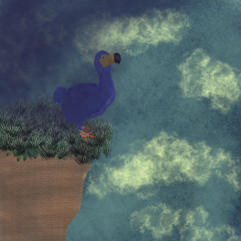Dodo bird - ibisPaint