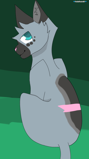 smoky road - ibisPaint