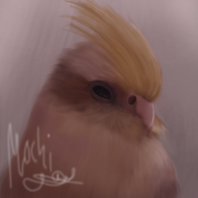 my birb - ibisPaint