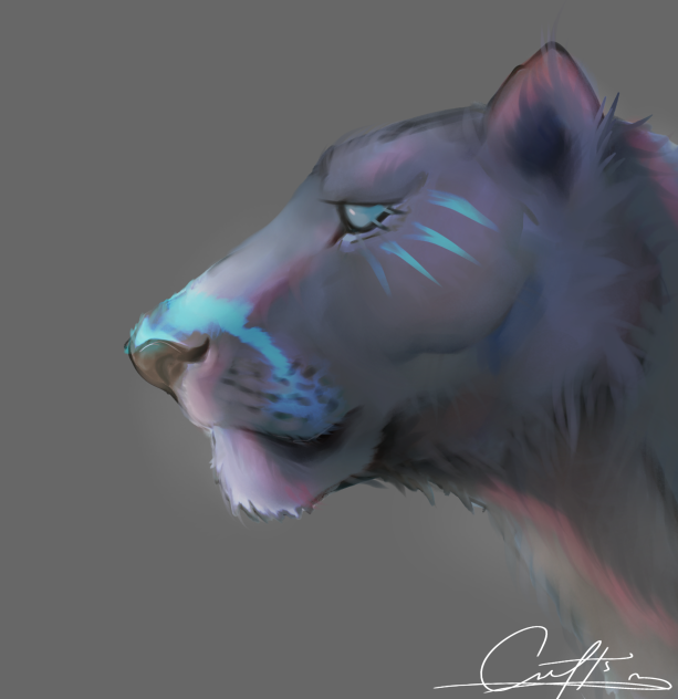 lion - ibisPaint
