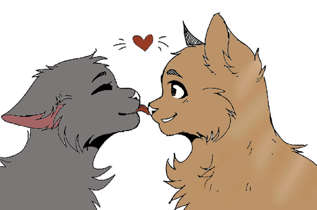 sweet cats - ibisPaint