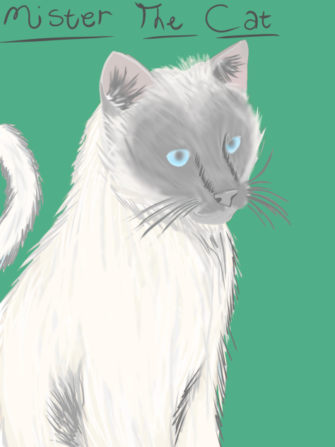 Drawing of Mister the cat - ibisPaint
