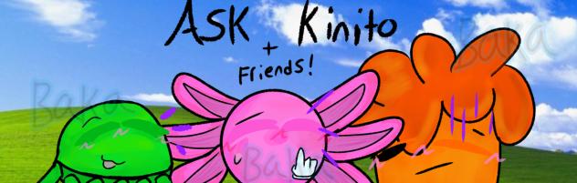 KinitoPET banner contest - ibisPaint