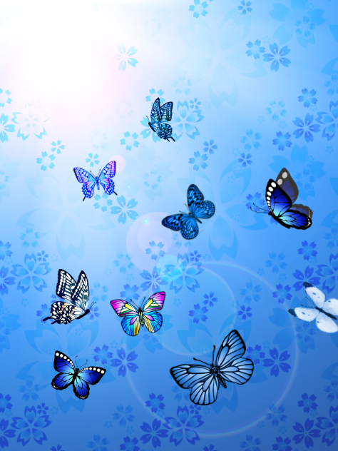 Sky and Butterfly - ibisPaint