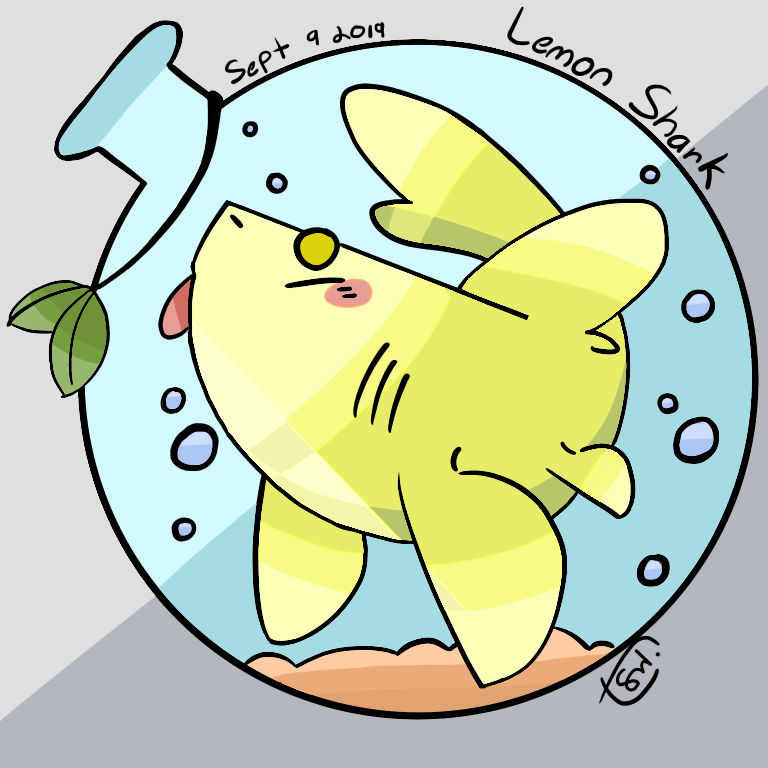 Lemon Shark - ibisPaint
